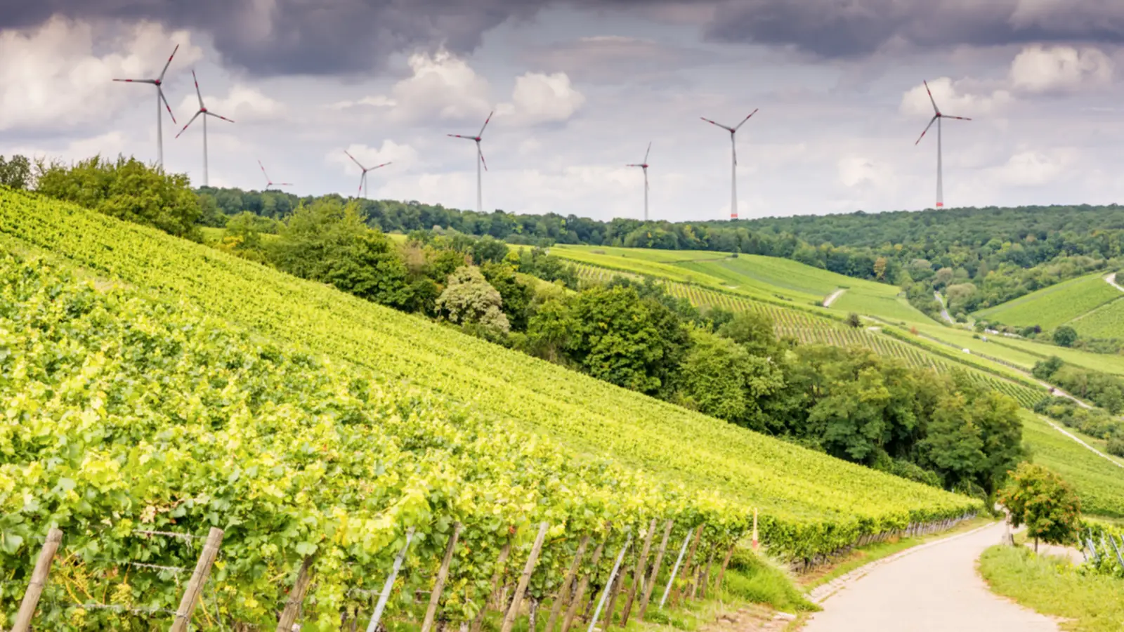 ESG for SME - Pragmatic sustainable solutions for your biggest clients